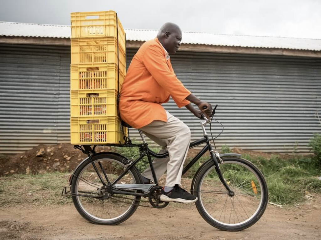 Buffalo Bicycle | Technology Exchange Lab